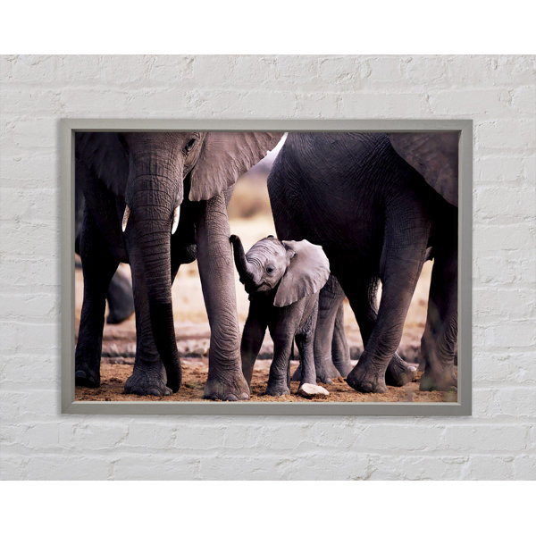 Bright Star Baby Elefant Liebe - Einzelner Bilderrahmen Kunstdrucke auf Leinwand | Wayfair.de